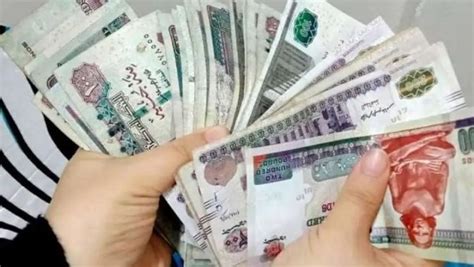 تفاصيل حزمة الحماية الاجتماعية و زيادة المرتبات والمعاشات رئيس