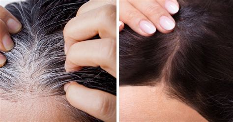 ¿por Qué Aparecen Las Canas 4 Trucos Efectivos Para Cubrirlas Sin