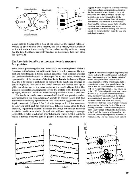 Coiled Structure Big Chemical Encyclopedia