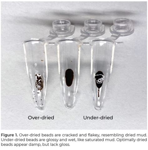 Zymo Seq SPLAT DNA Library Kit Genome Library Prep
