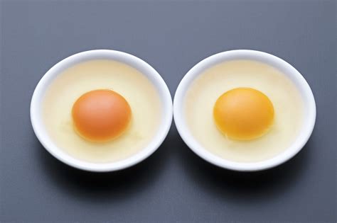 養鶏場が解説！安い卵と高い卵の違いは鶏の育て方にあった！ 大熊養鶏場