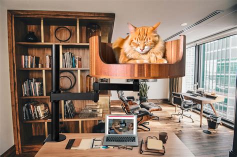 Desk For Cat The Perfect Workspace For Your Feline Friend Desk Cat Nest