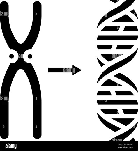 Gene Genetic Engineering Glyph Icon Vector Illustration Stock Vector Image And Art Alamy