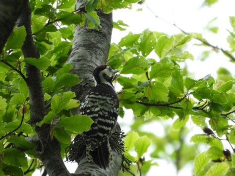 Министерство на Министерство на околната среда и водите