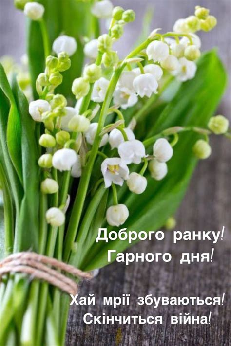 Pin By Валентина Вербицька Попович On Доброго ранку Мирного дня Гарного настрою Beautiful