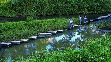 大沙河生态长廊 水波再兴蓝绿盈，深圳记忆再续写 Aecom 谷德设计网