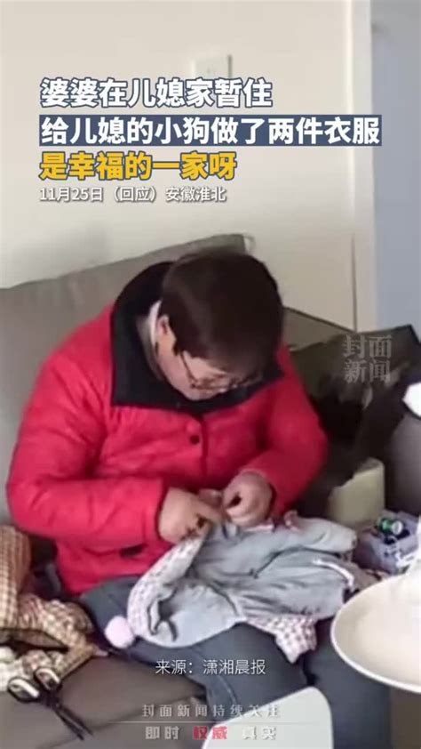 好幸福呀 ️婆婆在儿媳家暂住，还给儿媳的小狗做了两件衣服凤凰网视频凤凰网
