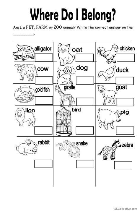 Wild Animals Worksheets