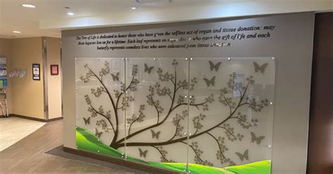 Eight Local Organ Donors Recognized On National Donor Day News