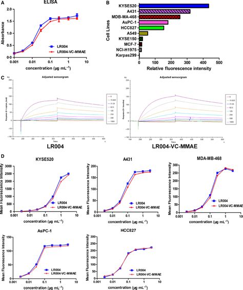 Binding Ability Of Lr004 And Lr004‐vc‐mmae In Vitro A The Binding Download Scientific
