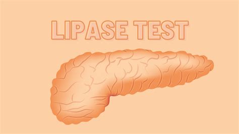 Lipase Test