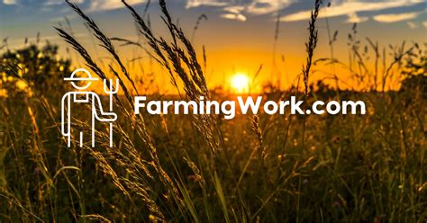 Grain Conversion Calculator Bushels To Pounds And Tons