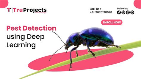 Pest Detection Using Deep Learning Youtube