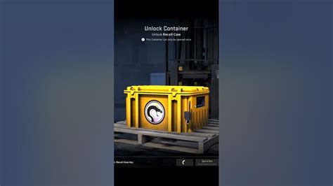 Cs2 Opening The Chest Csgo Gamers Gaming Games Fortnite Cs