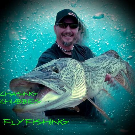 Aopolasc9rmqt9oeot64dgjigqh8sbwfzo11cykjoitx S900 C K C0x00ffffff No Rj