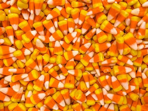 Nerdy Trivia October 30 2024 Classic Nerd