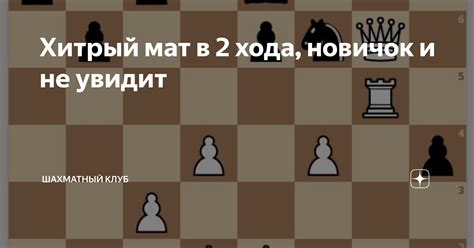 Хитрый мат в 2 хода новичок и не увидит Клуб шахматистов Дзен
