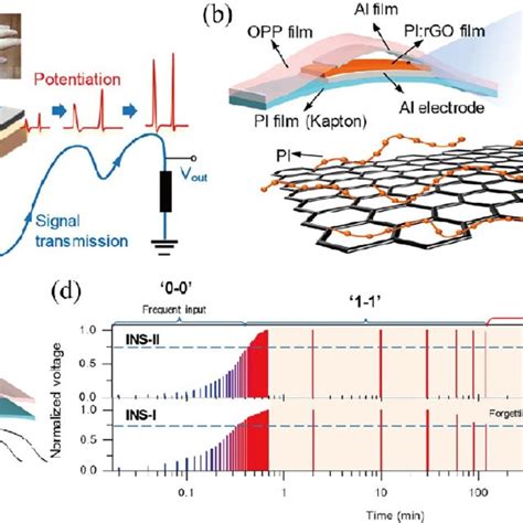 Pdf Flexible Artificial Sensory Systems Based On Neuromorphic Devices