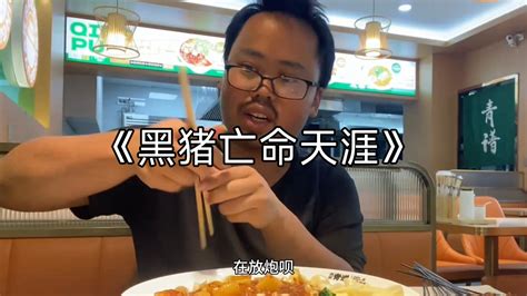 《黑猪亡命天涯》第一百二十四集 一猪吃饱 难搞的猪仔小张 难搞的猪仔小张 哔哩哔哩视频