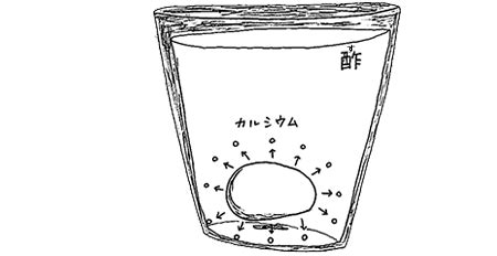 プヨプヨたまごのしょうゆ実験 ヤマサ醤油株式会社