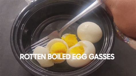 Rotten Boiled Egg Gasses The Rabbit Hole