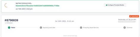 fossa analysis failed on the remote server job page fails to load logs
