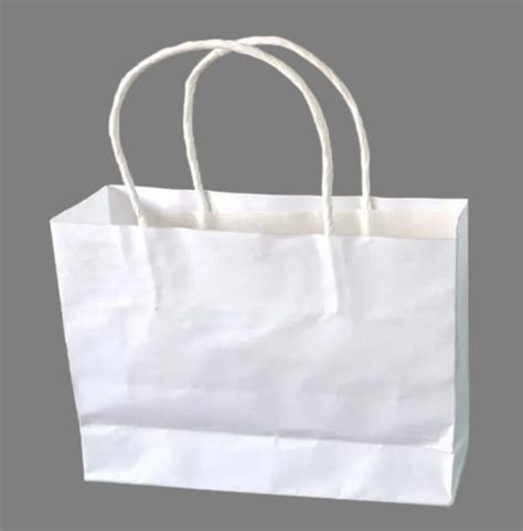 White Plain Paper Bag For Shopping Capacity 5 Kg At Best Price In Valsad