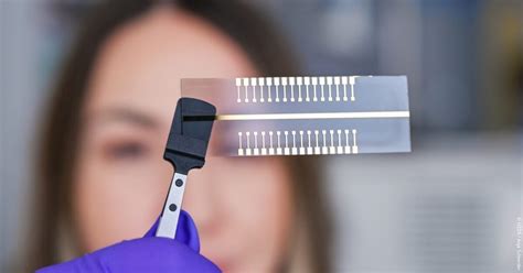 Hzdr Team Introduces Novel Pathogen Detection Approach