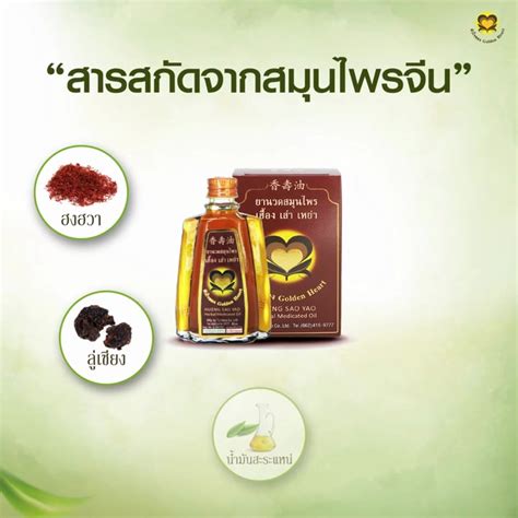 ยานวดตัวโปรดของคนปวดหลัง🆗 ด้วยสารสกัดจากสมุนไพรจีน ฮงฮวา ลู่เซียง