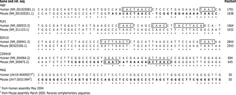 Alignment Of Human And Mouse Sequences The Aligned Reference Sequence