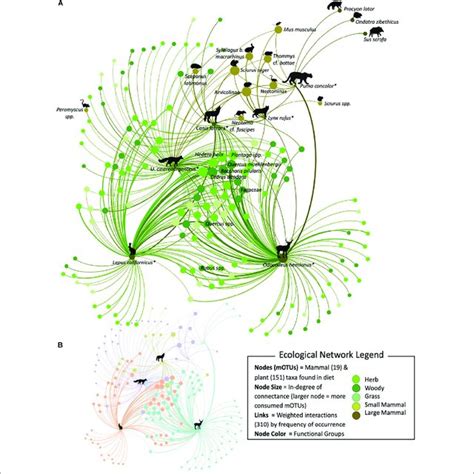 Pdf Molecular Ecological Network Analyses An Effective Conservation