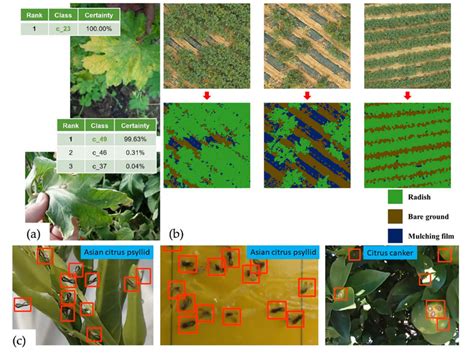 Applications Of Deep Learning For Crop Stress Detection Based On Download Scientific Diagram