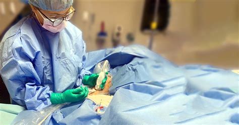 Where Is A PICC Line Placed Vascular Wellness