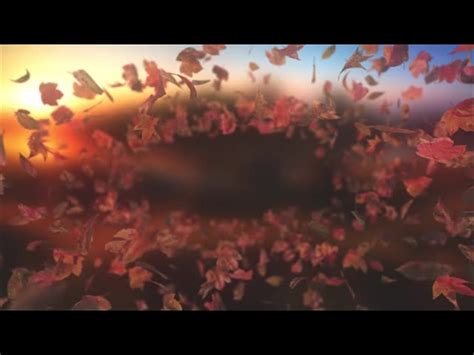 Harvest Leaves Tunnel Grace Glory Worship WorshipHouse Media