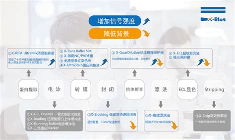 5个小技巧，拯救你的western Blot实验！ 知乎