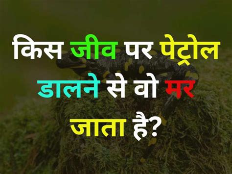 Gk Quiz कौन सा जीव है जिसके ऊपर पेट्रोल गिर जाए तो उसकी मौत हो जाती है