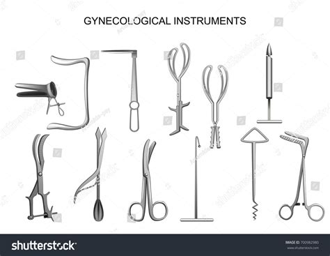 Vector Illustration Set Gynecologic Obstetric Instruments Stock Vector Royalty Free 700982980
