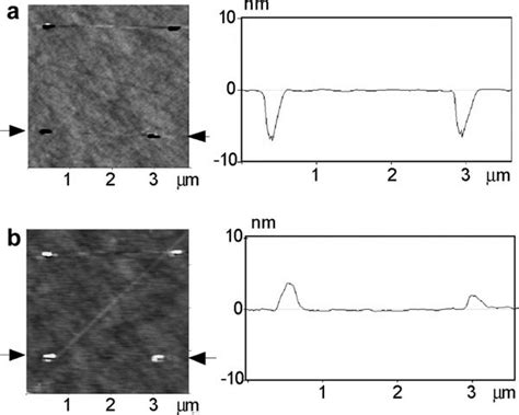 Induced Structuring Using Afm Indents As Seeds For Metal Deposition