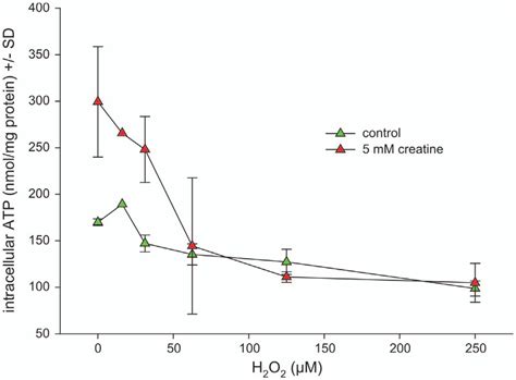 Effect Of Creatine On Intracellular Atp Phosphocreatine Content In Download Scientific Diagram