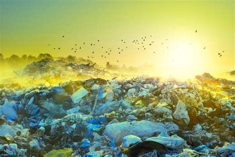 Disposal Fetish Phone Sex Garbage Boy Trash Slave Femdom Phone Sex