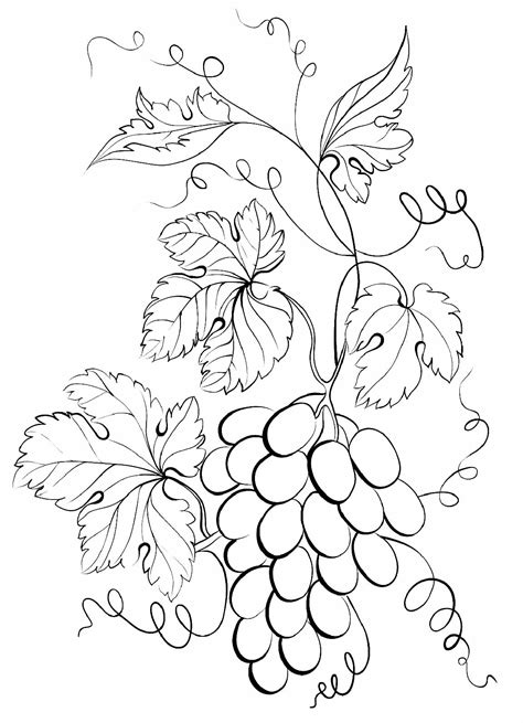 Desenhos De Uvas Para Colorir Imprimir E Pintar Colorirme Porn Sex