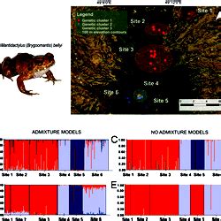 Sampled Populations Of Mantidactylus Bellyi And Their Genetic Cluster