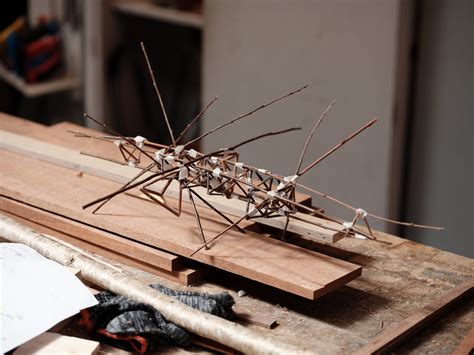 Thomas Adank — Hooke Park