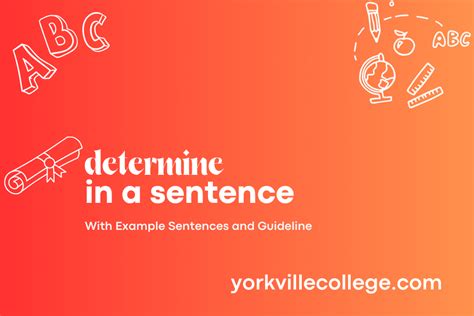 How To Use Determine In A Sentence Easy Examples