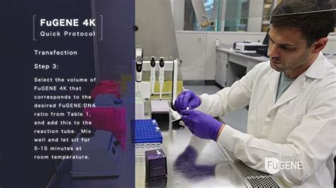 Fugene On Linkedin Fugene 4k Protocol Video Dna Transfection