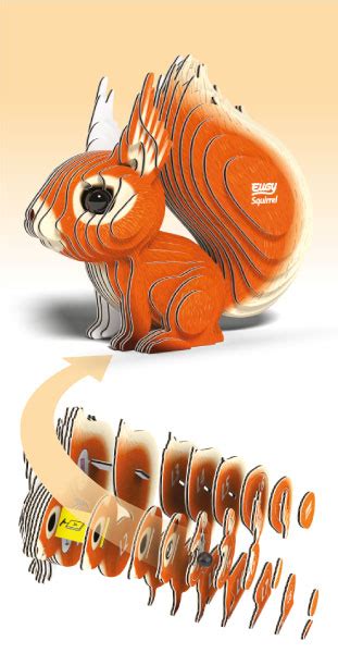 Eugy Squirrel Jac Stores Iom