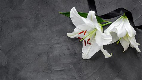 Wohnung Kündigen Nach Todesfall