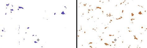 Script For Generating Double Threshold Classifier Usage And Issues Imagesc Forum