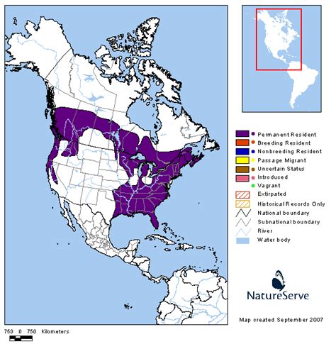 Tennessee Watchable Wildlife Pileated Woodpecker Habitat 1
