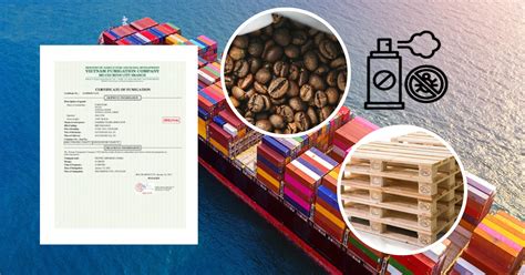 Ano Ang Isang Fumigation Certificate Proseso Ng Application Para Sa 2025 Hongocean